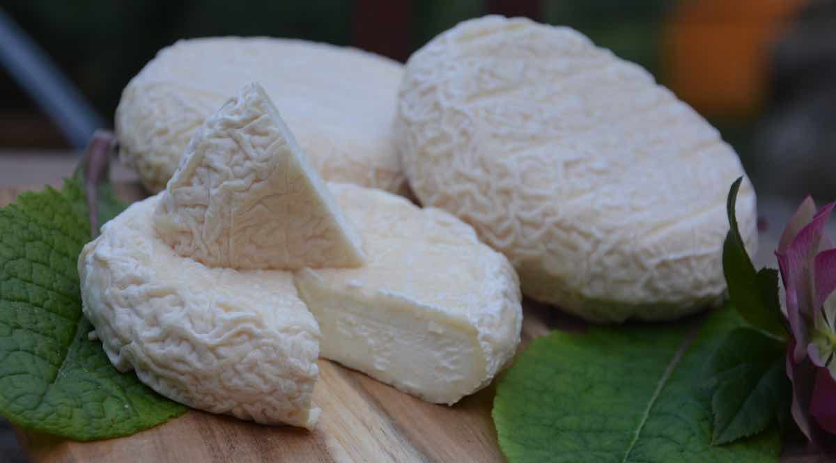 La robiola: quali sono le principali varietà | SoloFornelli.it